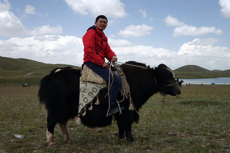 Riding a Yak near Alichur | Tajikistan